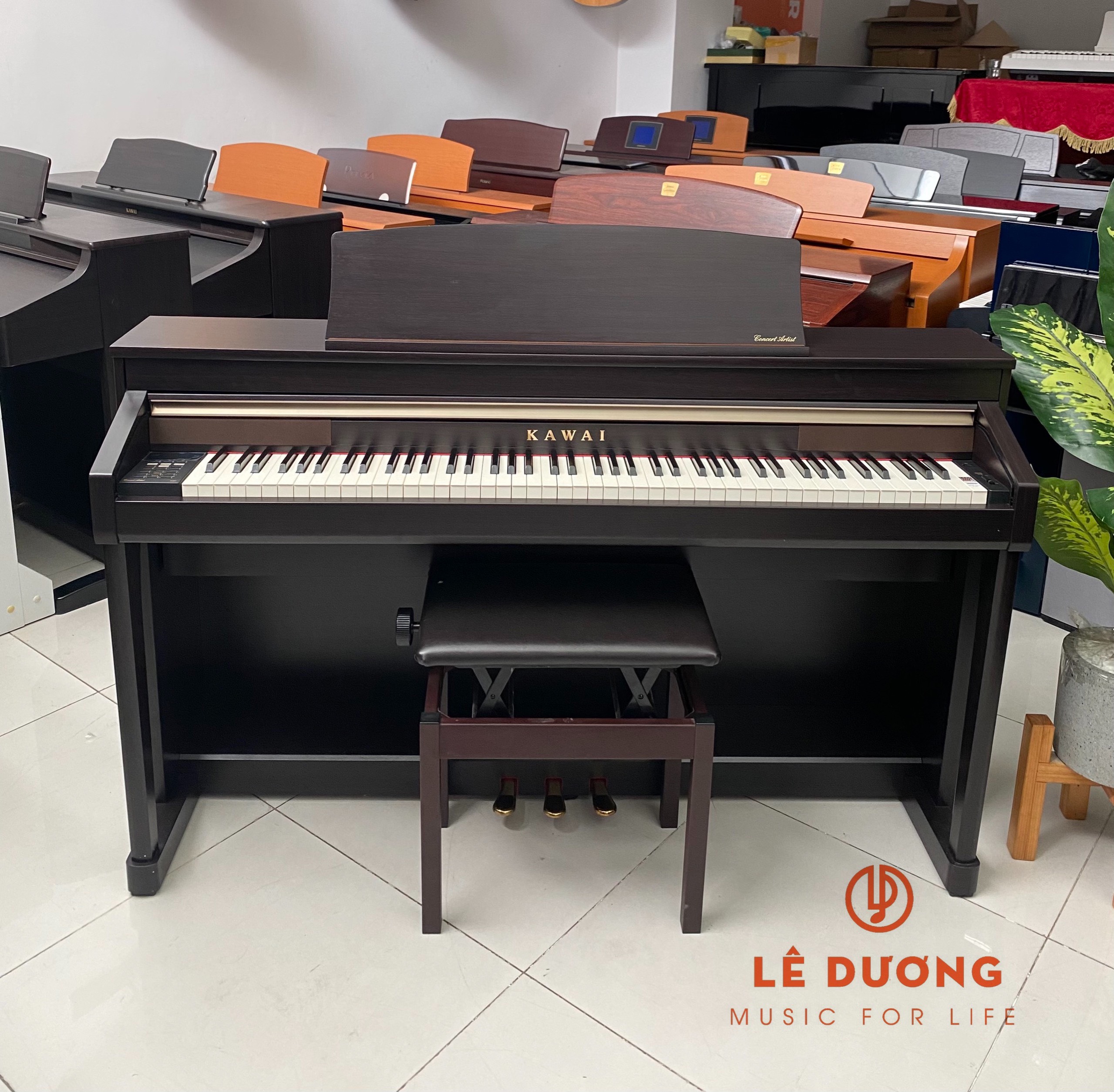 LÊ DƯƠNG MUSIC - KAWAI CA67(R)