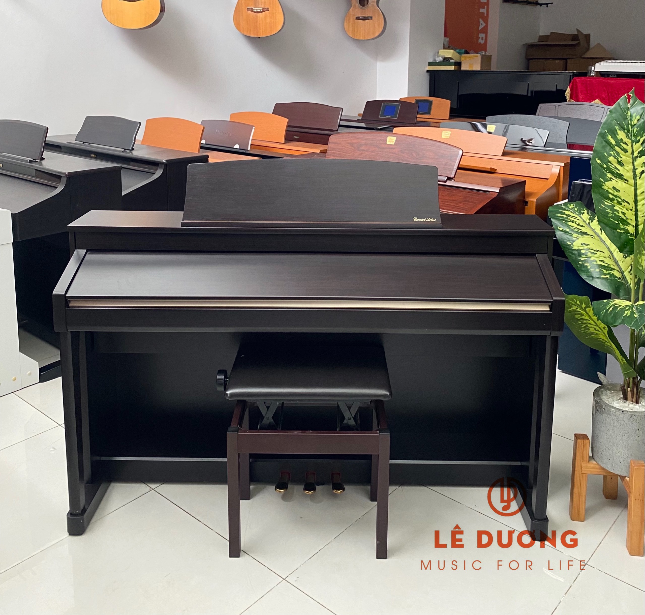LÊ DƯƠNG MUSIC - KAWAI CA67(R)