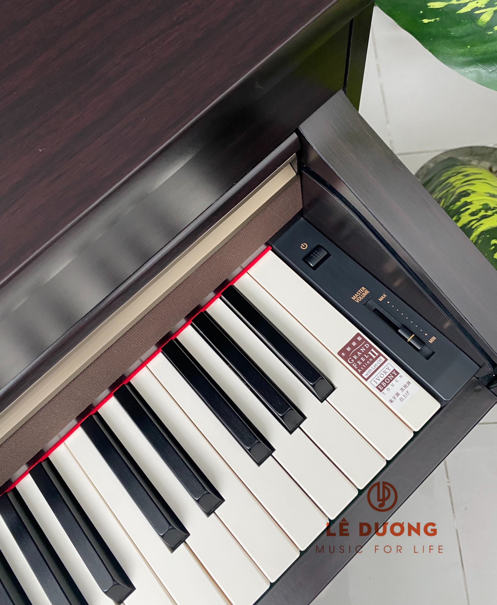 LÊ DƯƠNG MUSIC - KAWAI CA67(R)